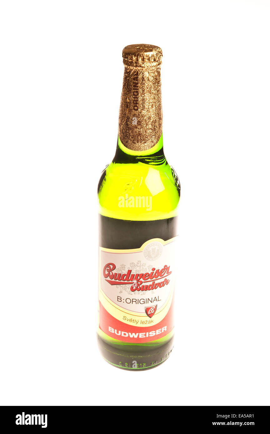 Budweiser beer bottle hi-res stock photography and images - Alamy