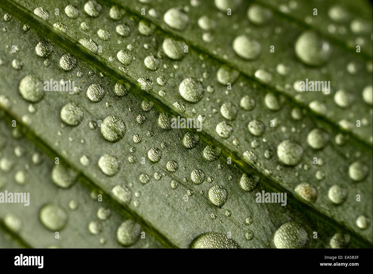Frame waterdrops hi-res stock photography and images - Alamy