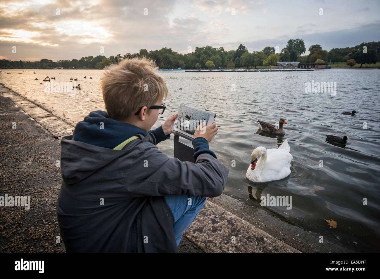 UK, London, boy photographing water birds at Hyde Park with his digital ...