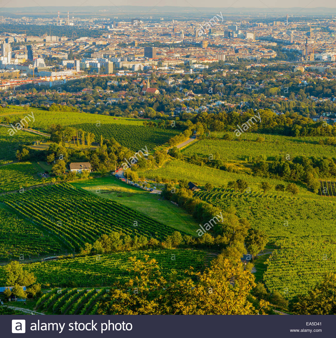 Austria, Province Vienna, Vienna, View from Kahlenberg mountain Stock ...