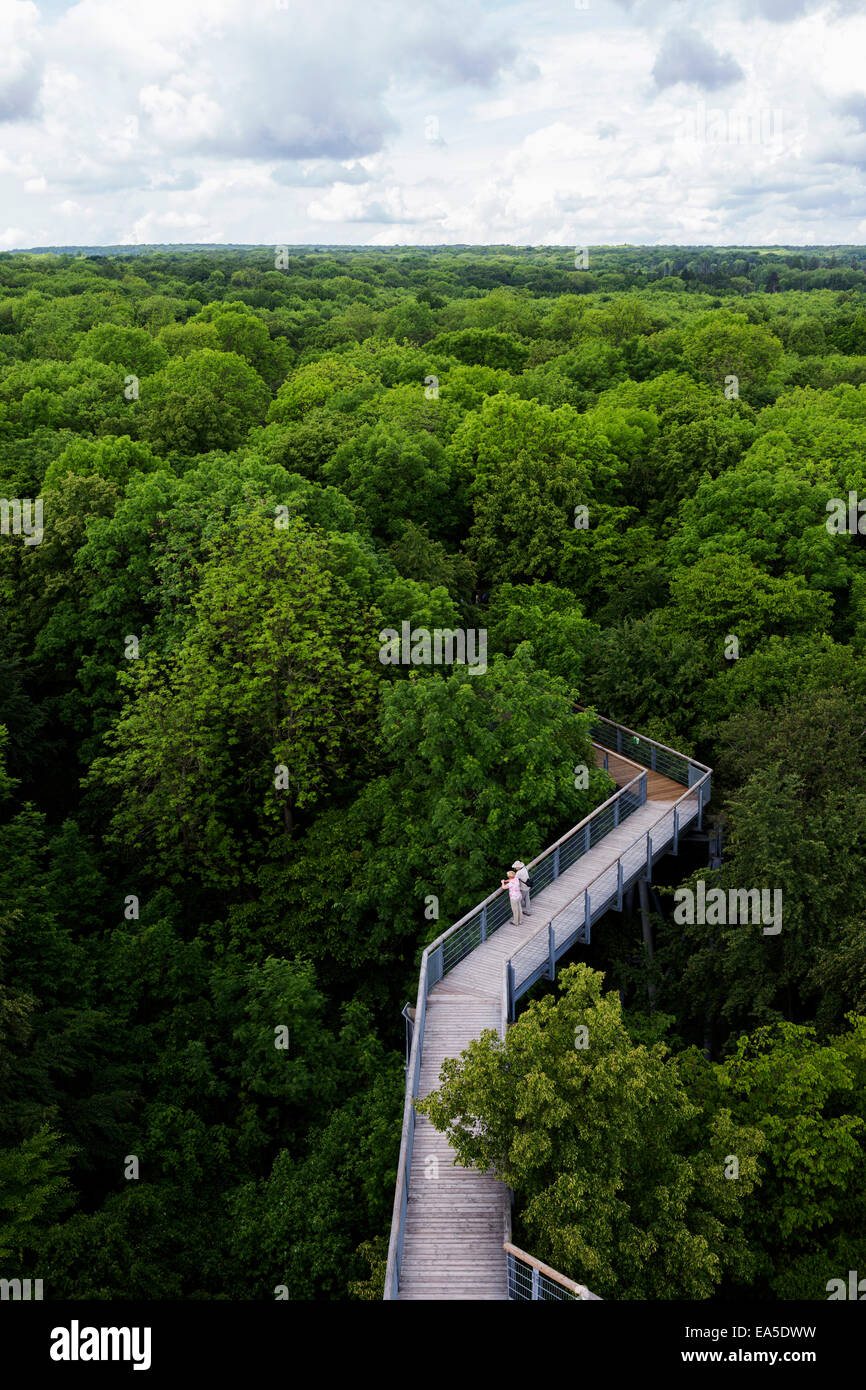 Germany, Thuringia, Hainich, canopy walkway Hainich Stock Photo - Alamy