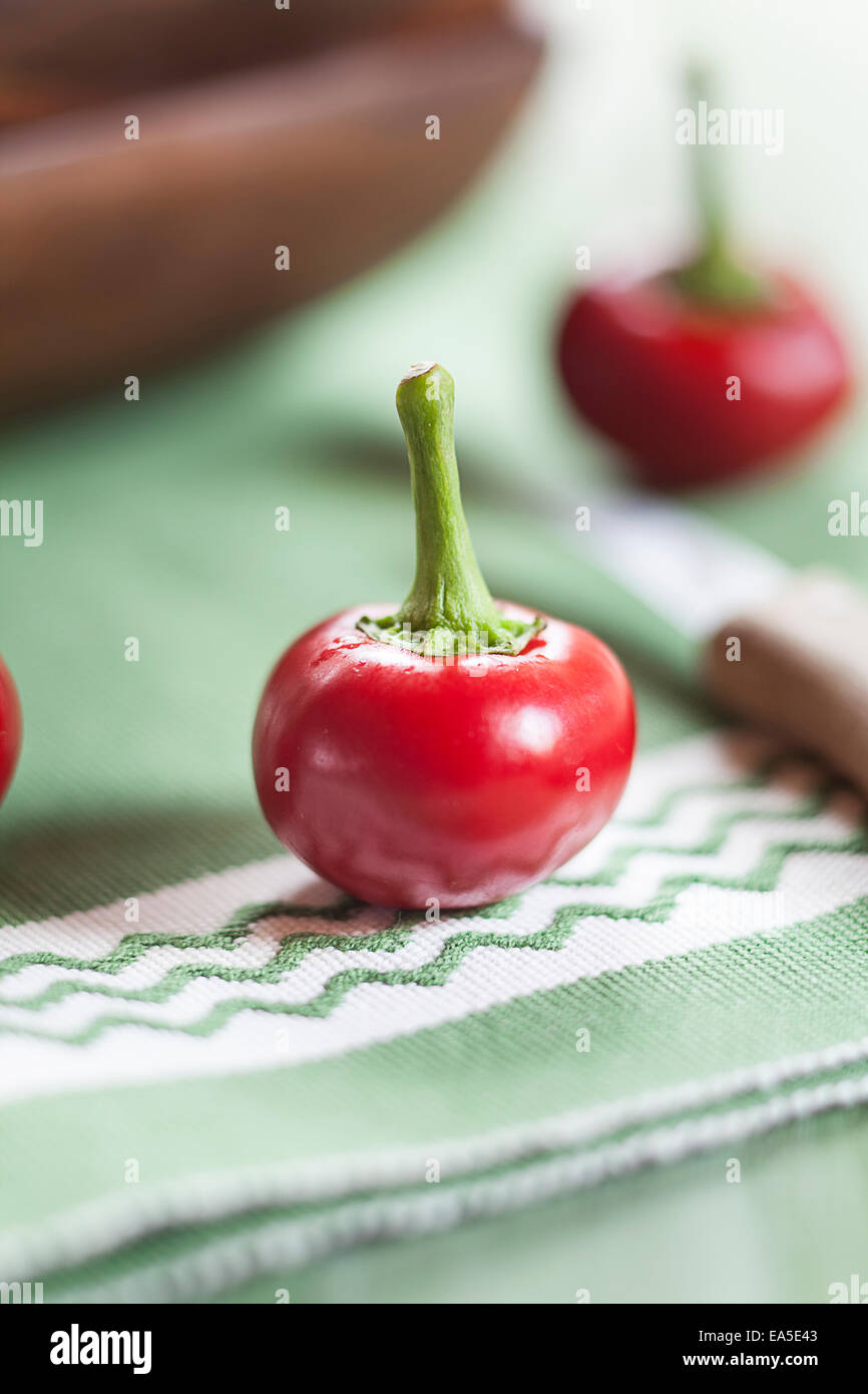 Cascabel hi-res stock photography and images - Alamy