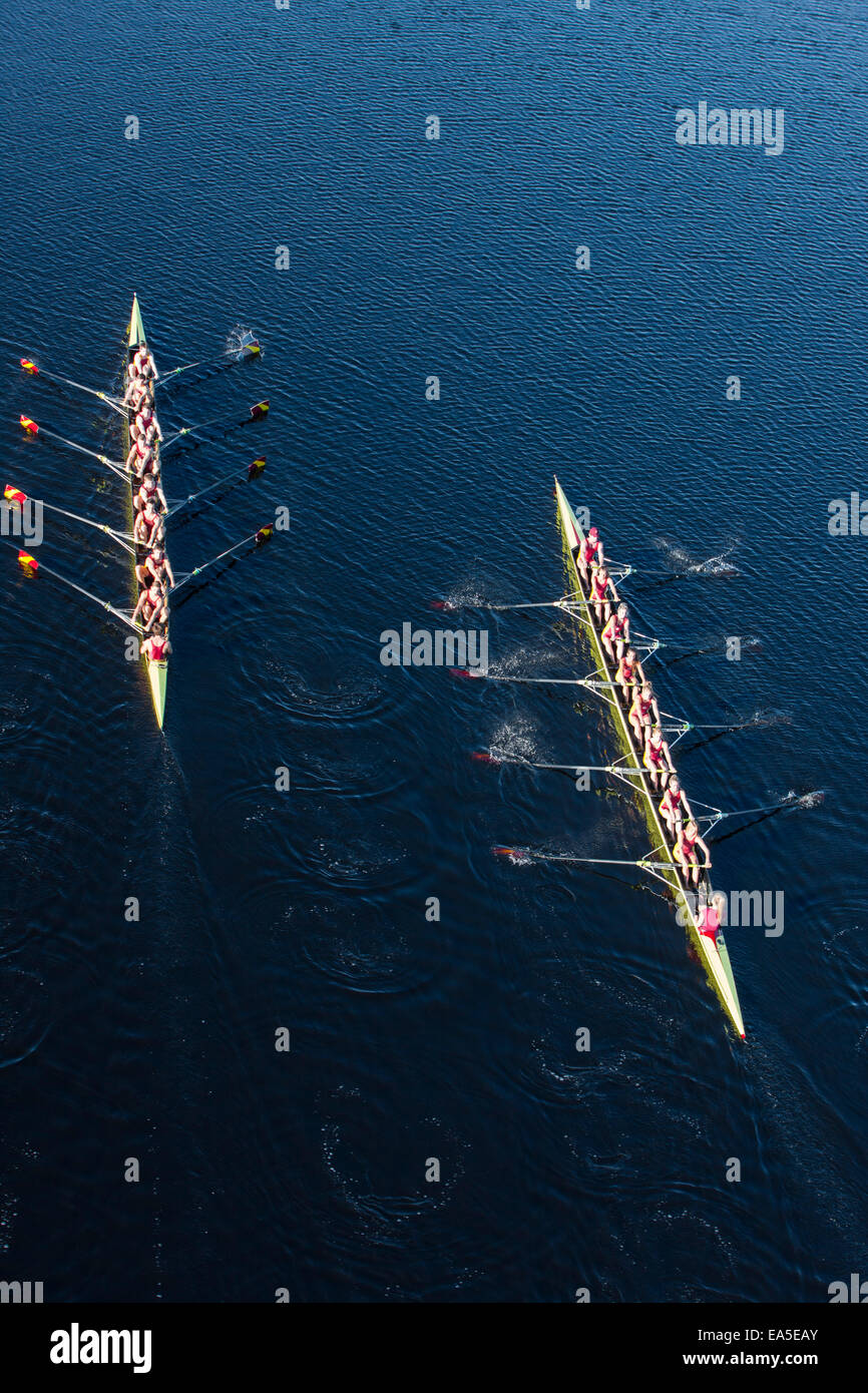 Elevated view of two rowing eights in water Stock Photo - Alamy