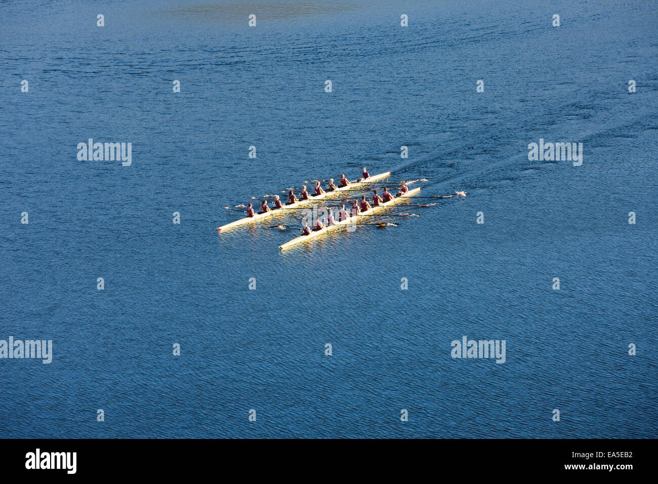 Elevated view of two rowing eights in water Stock Photo - Alamy