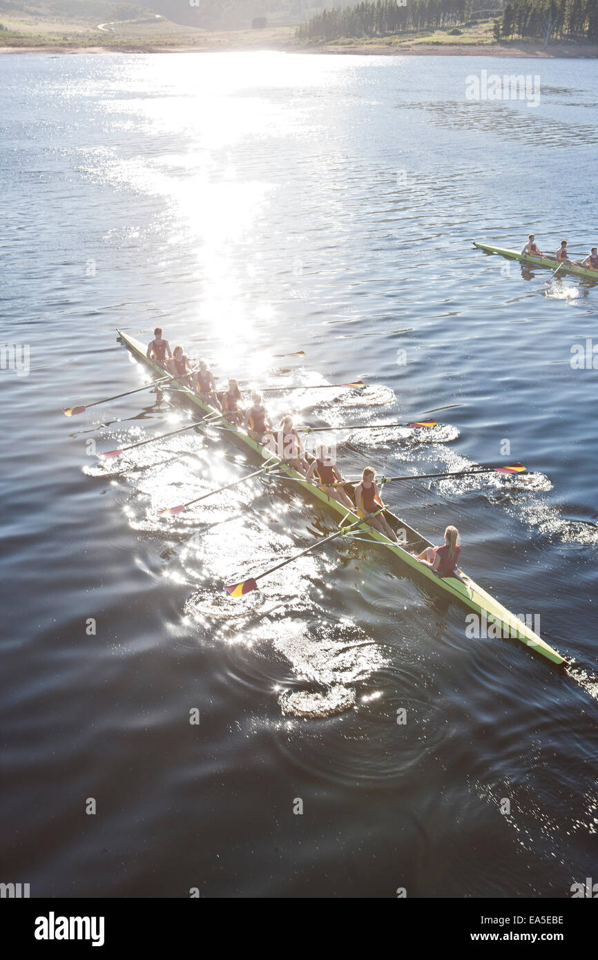 Elevated view of two rowing eights in water Stock Photo - Alamy