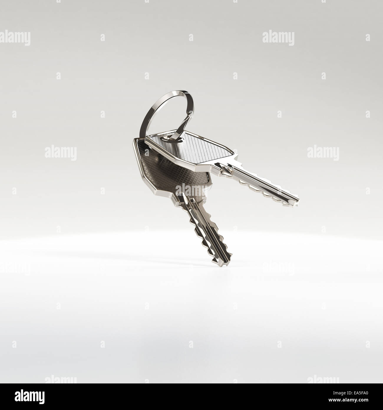 Two keys on a ring Stock Photo - Alamy