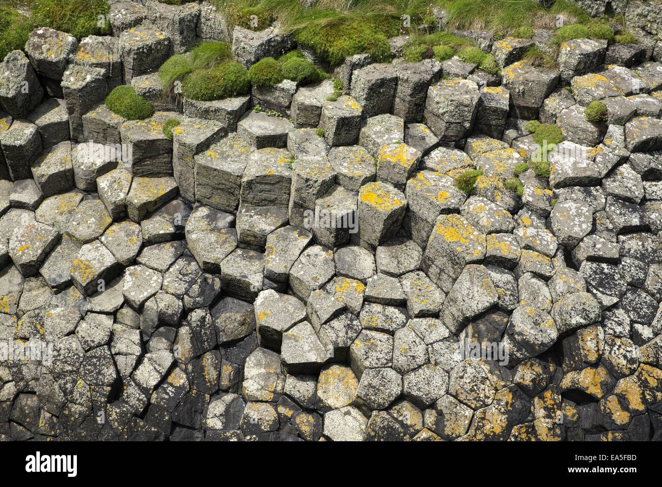 UK, Scotland, Argyll and Bute, hexagonal basalt columns on Staffa ...