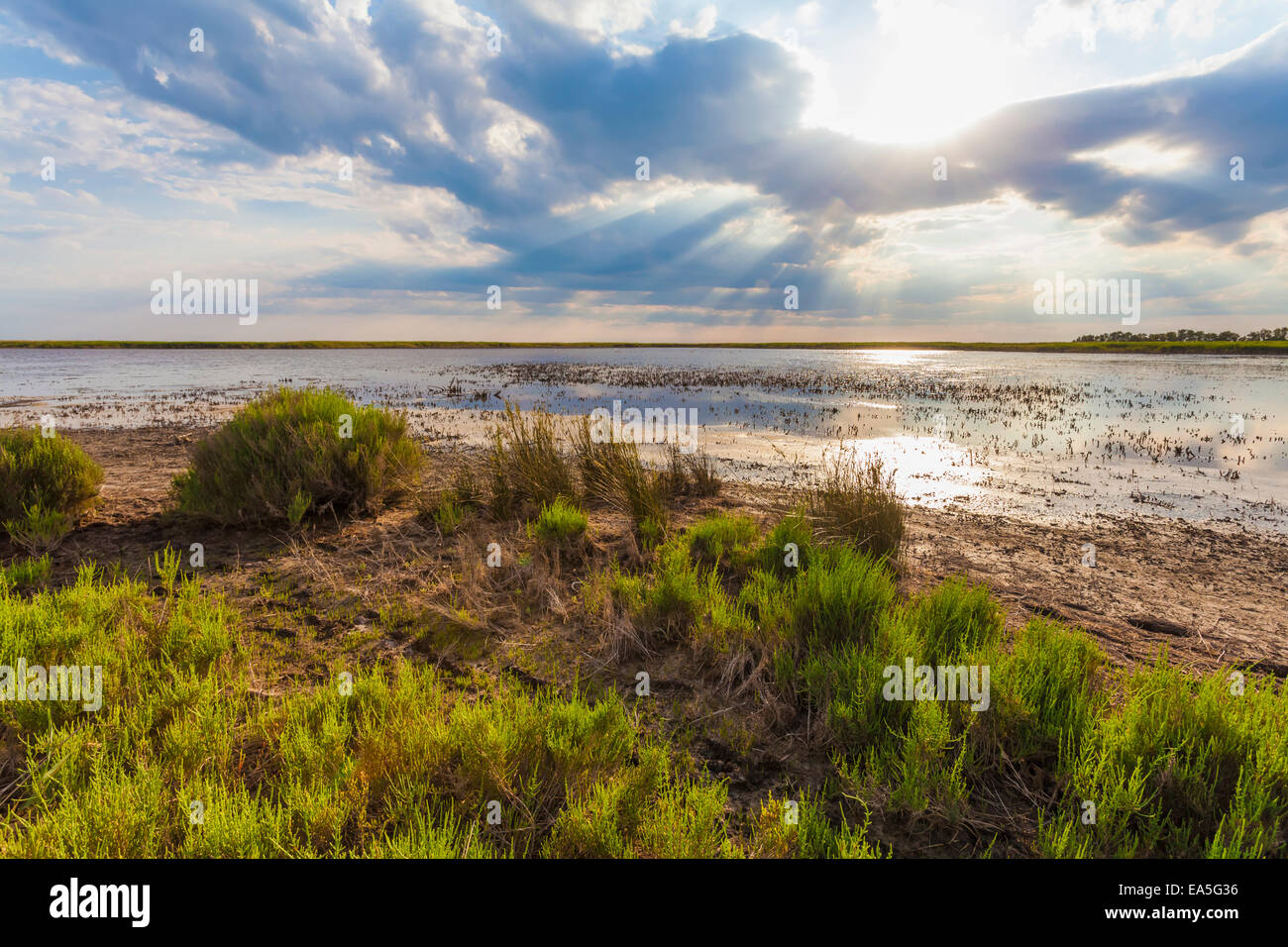 France, Provence, Camargue, view to Etang de Vaccares Stock Photo - Alamy