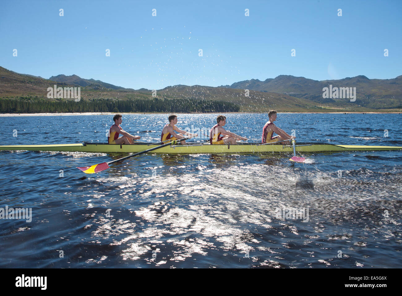 Coxless four rowing boat in water Stock Photo - Alamy