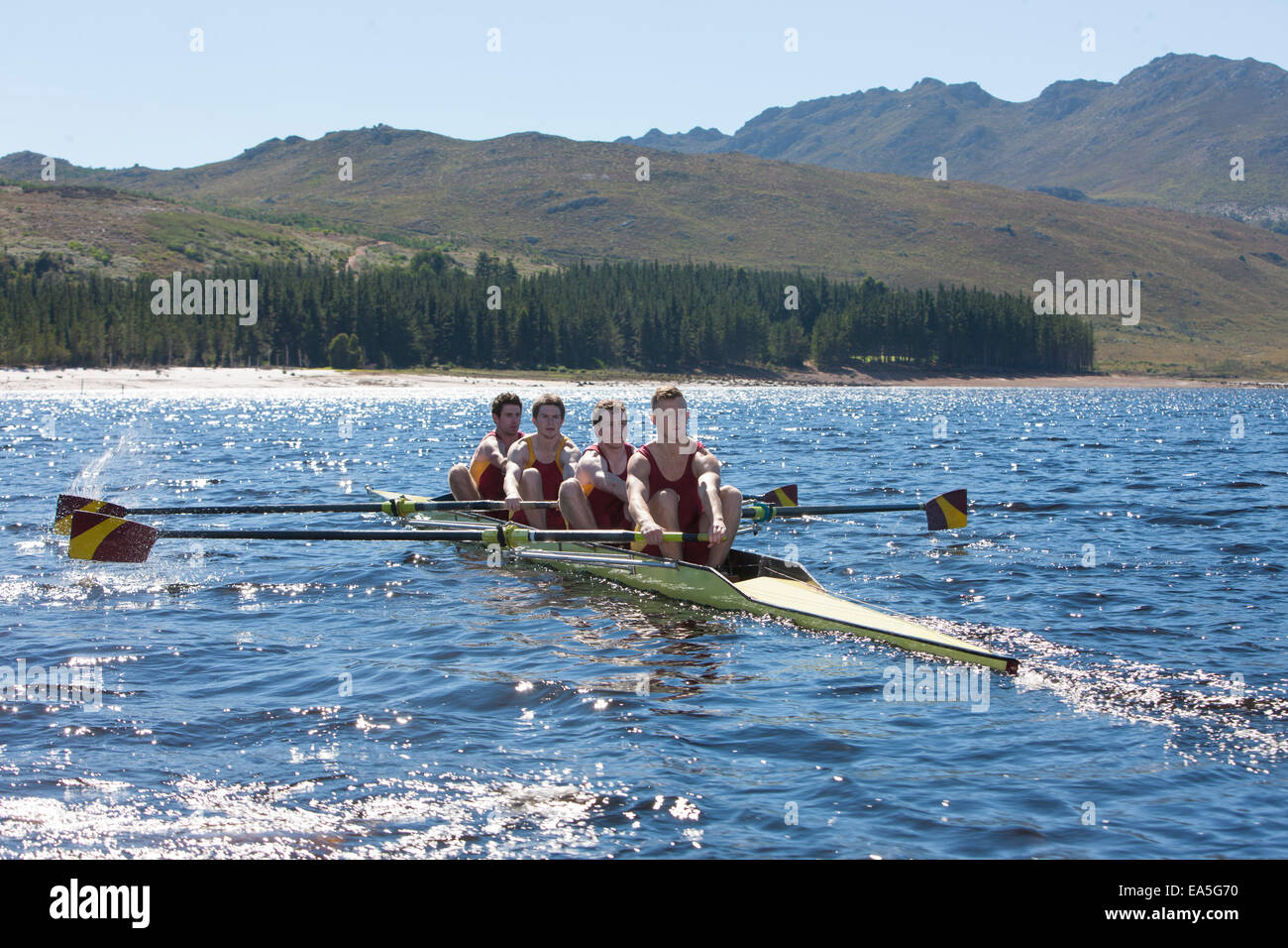 Coxless four rowing boat in water Stock Photo - Alamy
