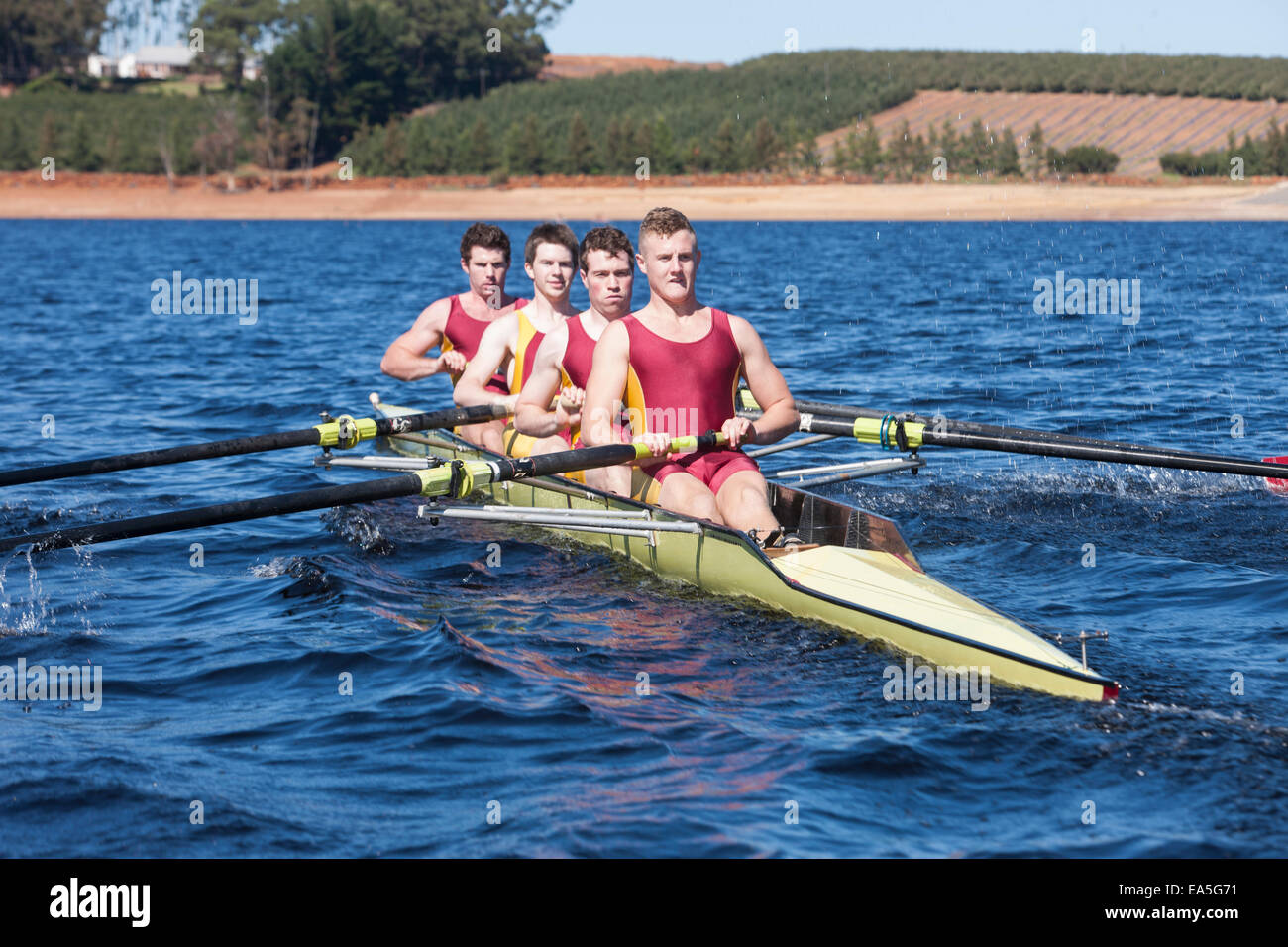 Coxless four rowing boat in water Stock Photo - Alamy