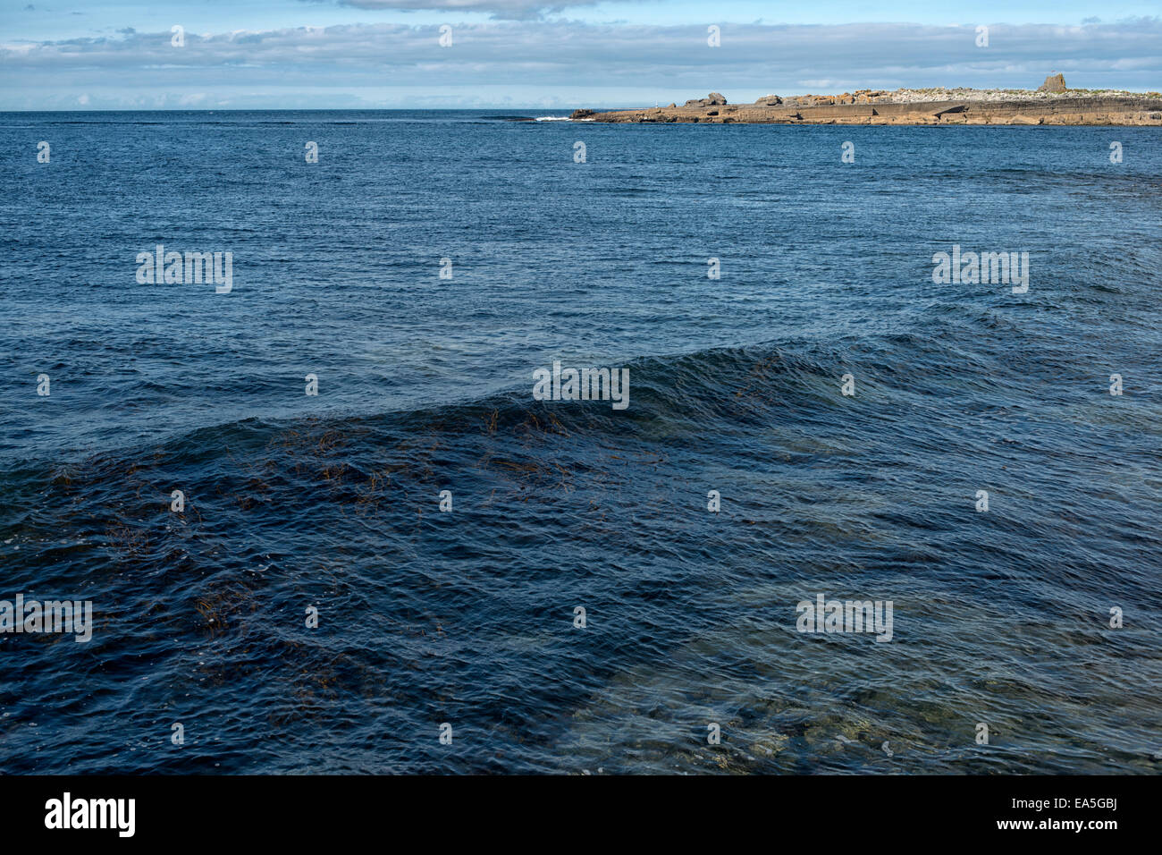 wave lift up seaweed beneath Stock Photo - Alamy