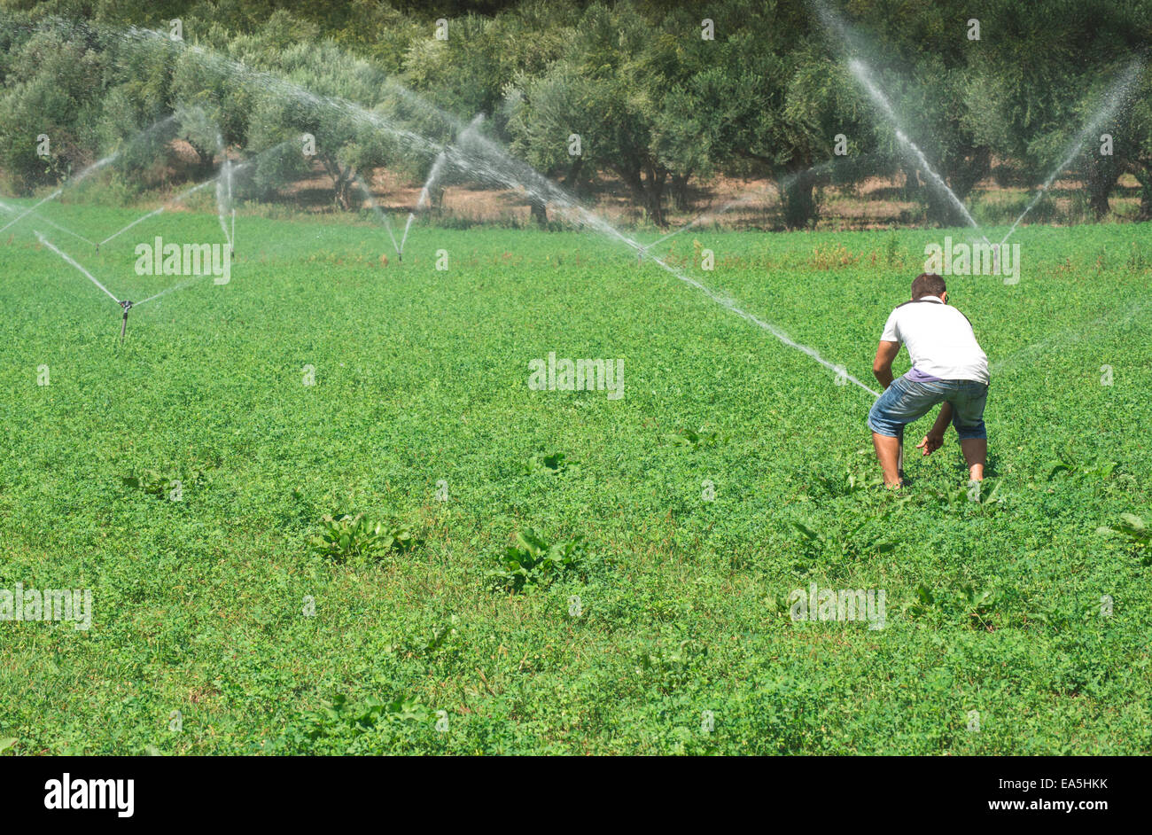 Modern irrigation hi-res stock photography and images - Alamy
