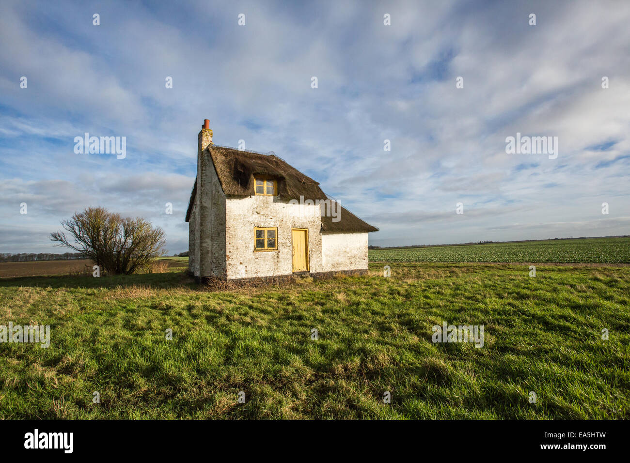 A lonely thatched cottage seen from the road in north Norfolk, England ...