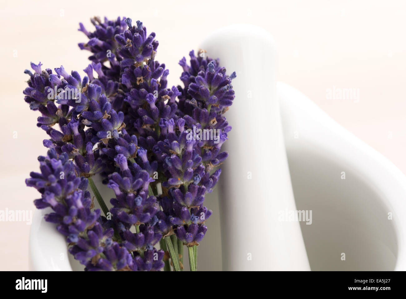 Lavender in mortar hi-res stock photography and images - Alamy
