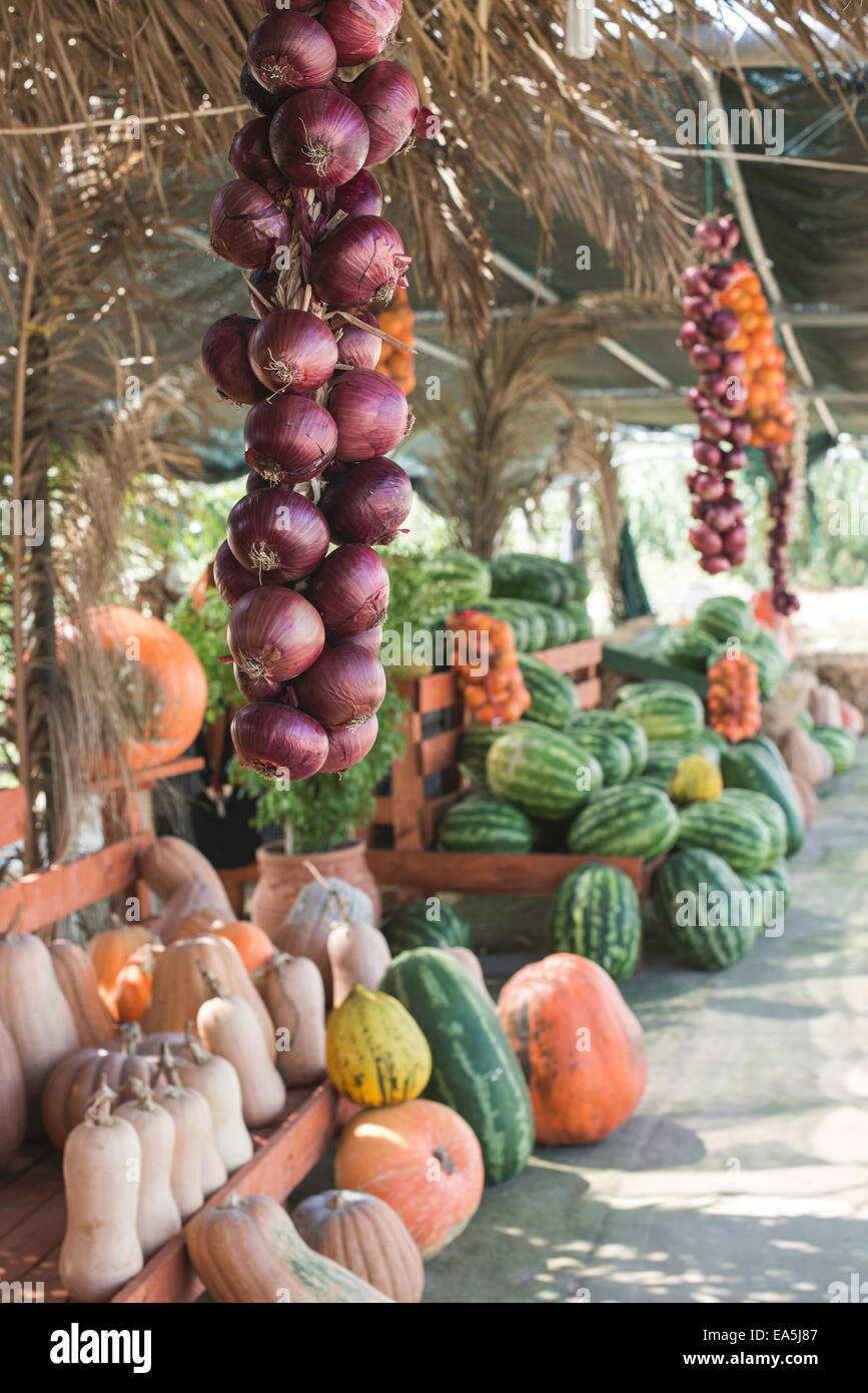 Food market manila philippines hi-res stock photography and images - Alamy