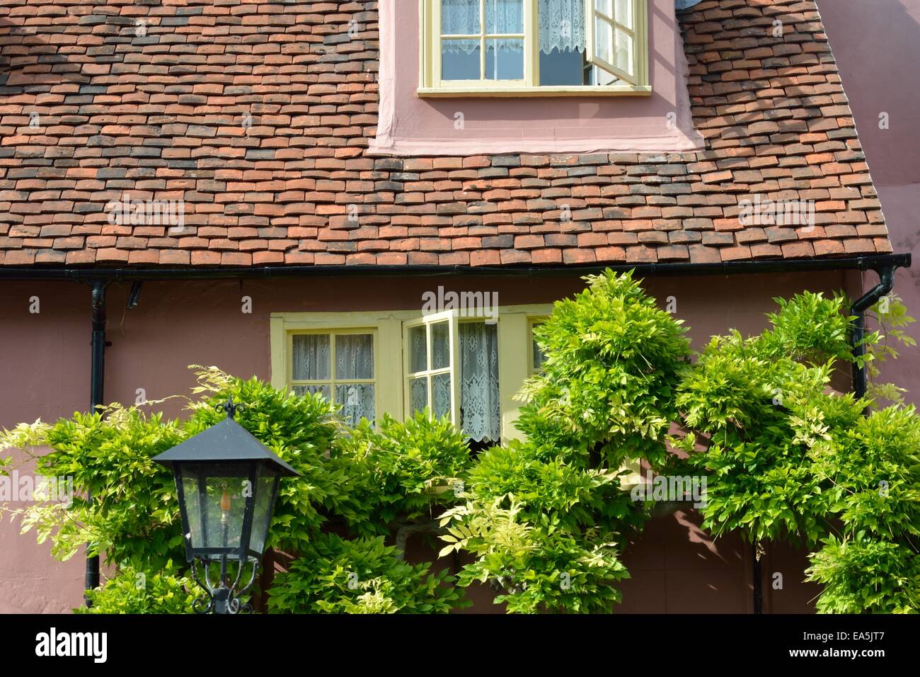 Pink cottage with trees Stock Photo - Alamy