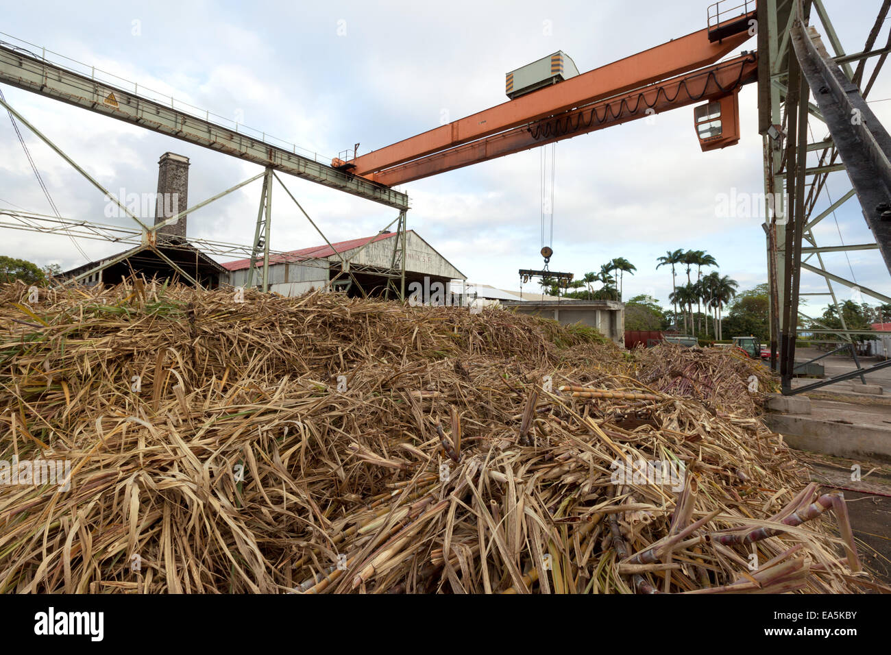 Sugar Cane Factory