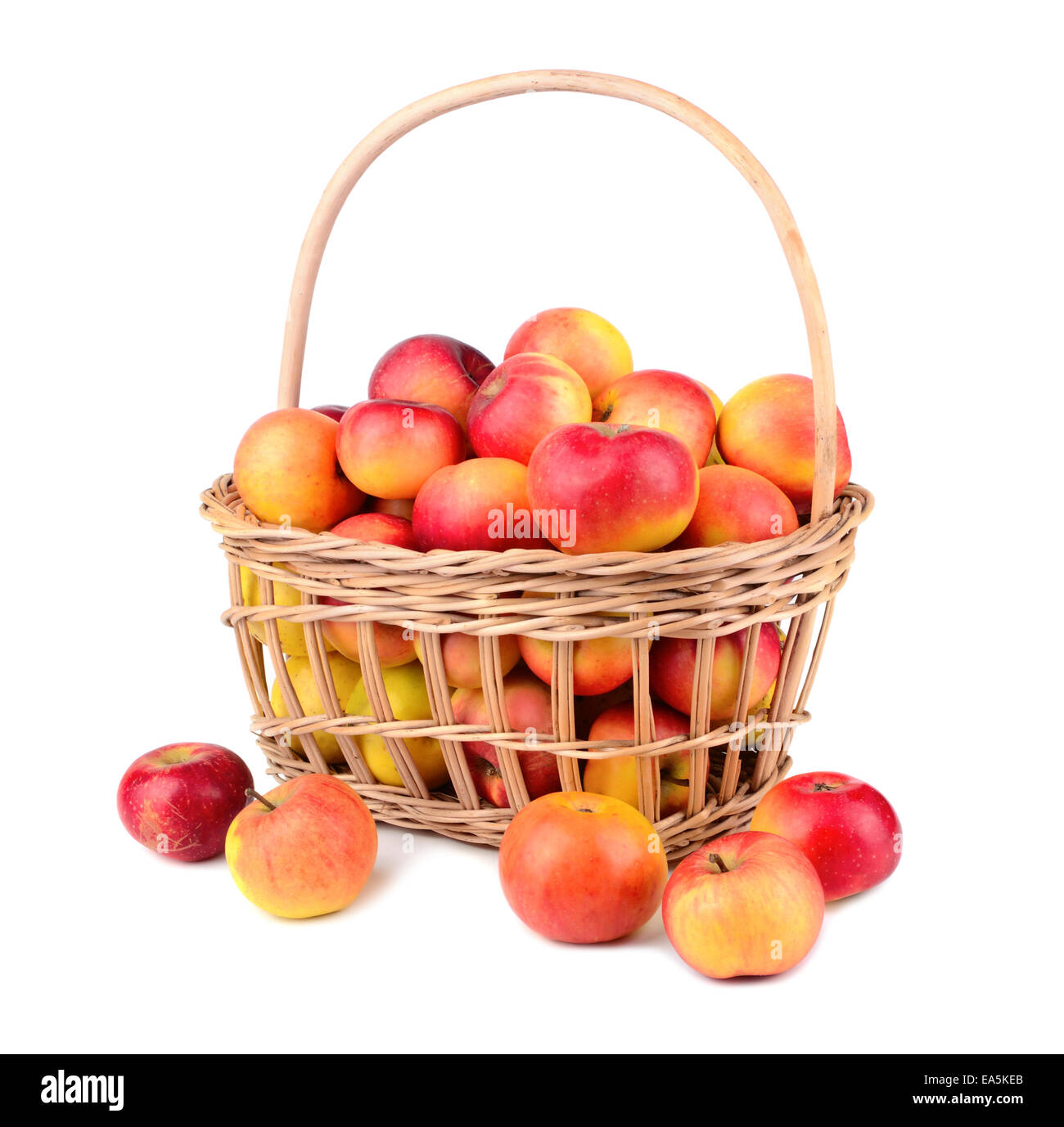 Autumn ripe apples close up Cut Out Stock Images & Pictures - Alamy