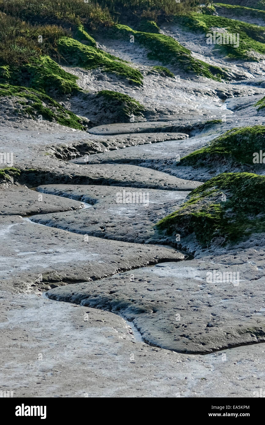 Water channel cutting through tidal marsh mud flats in Essex, England ...