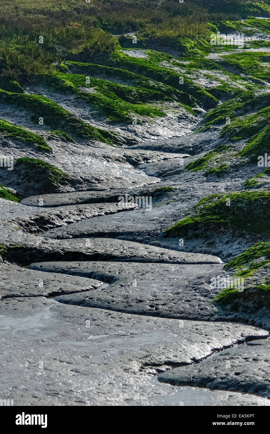Tidal marsh hi-res stock photography and images - Alamy