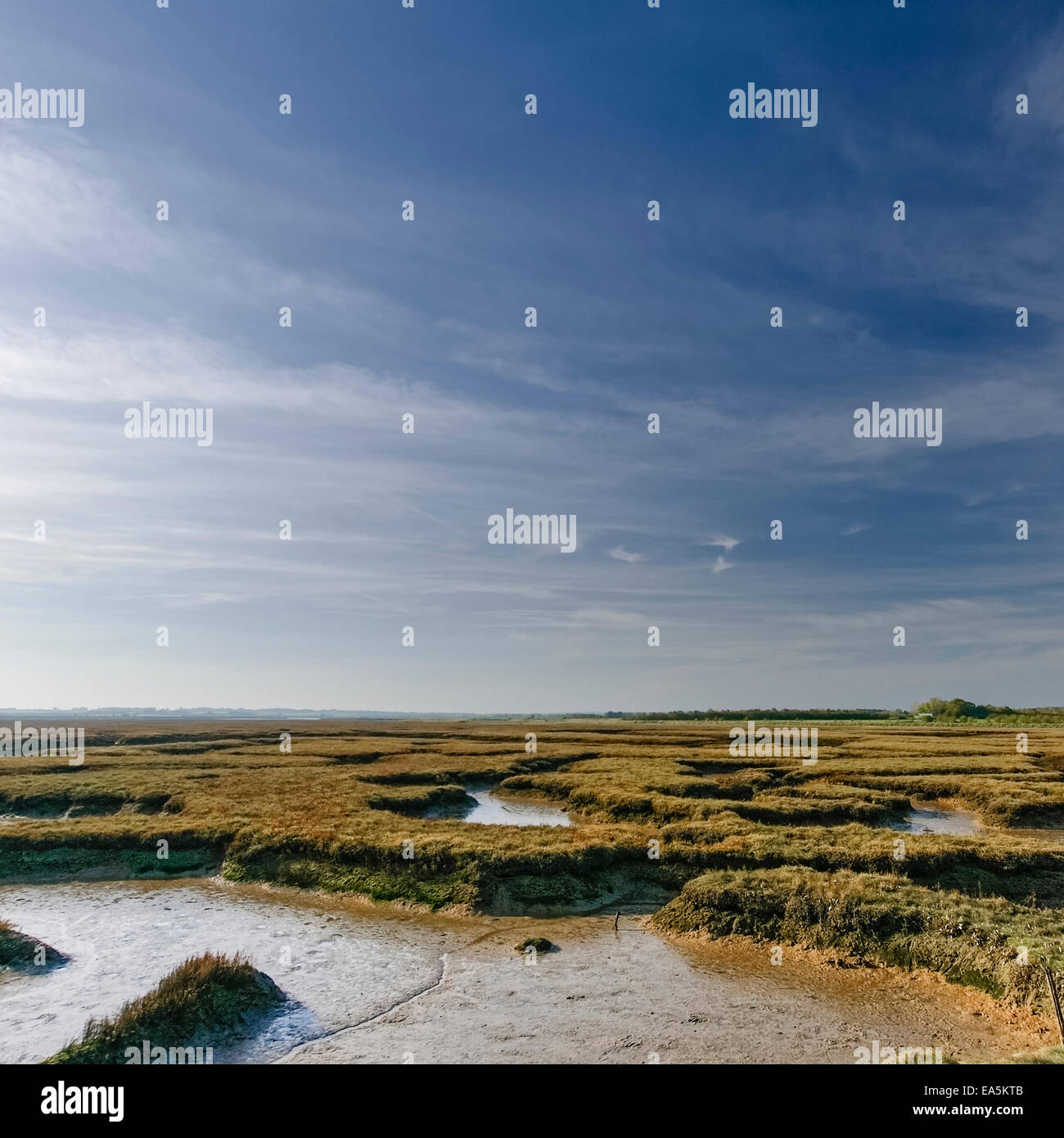 Copt Hall Marshes, Essex, Kent, on sunny day with blue sky and wispy ...