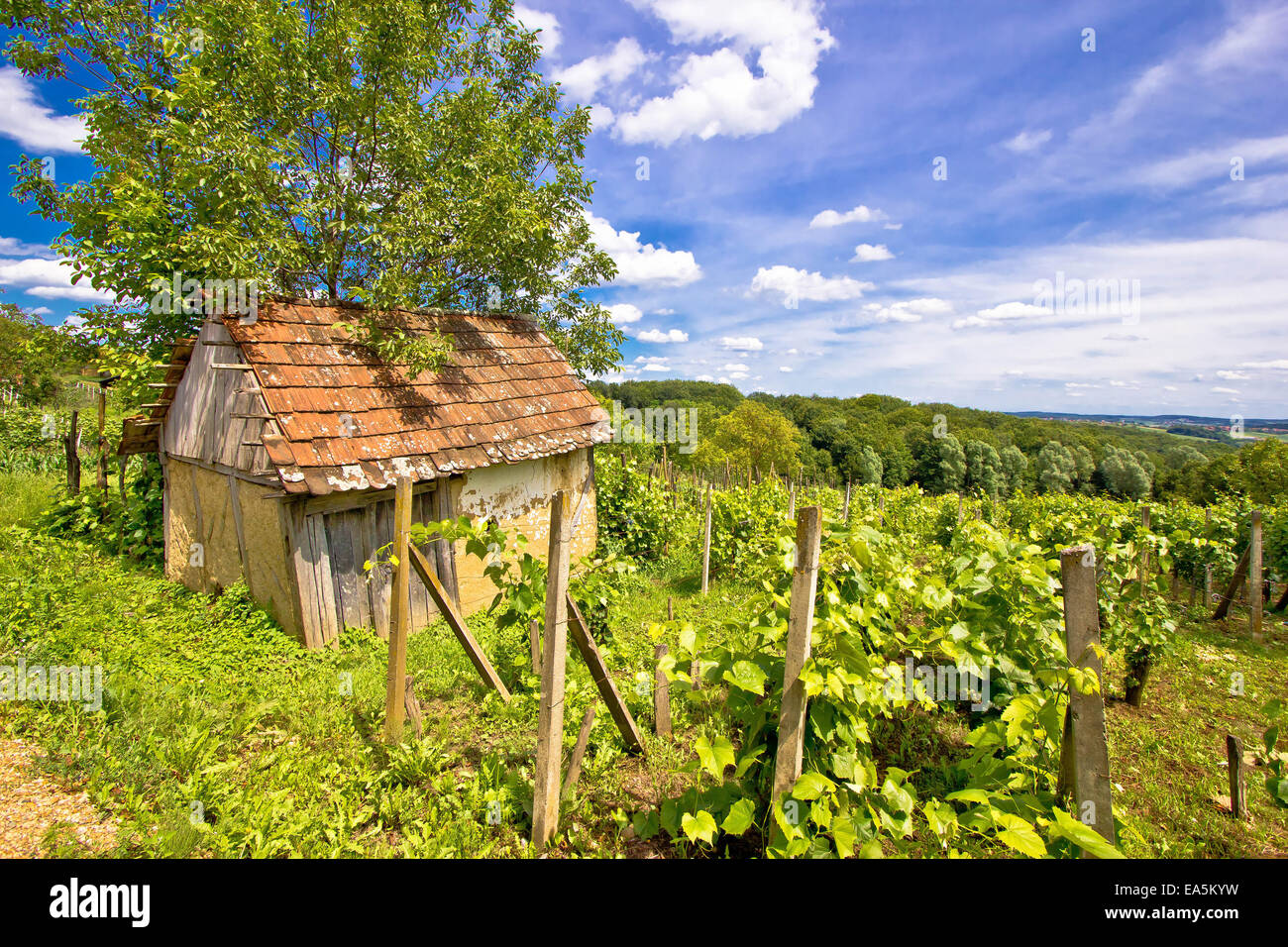Mud cottage in hill vineyard Stock Photo - Alamy