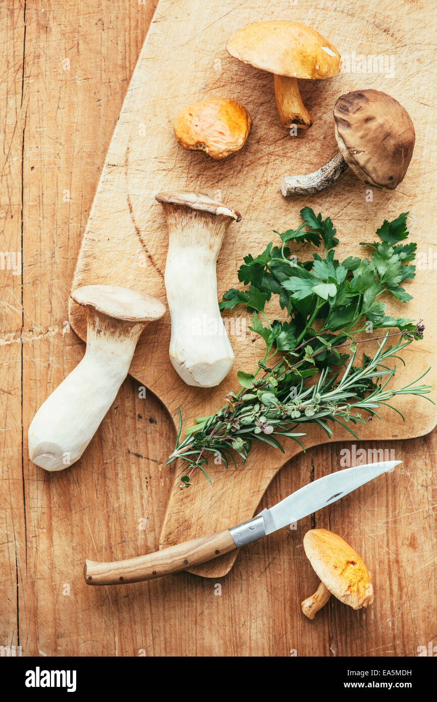 Assorted wild mushrooms Stock Photo - Alamy