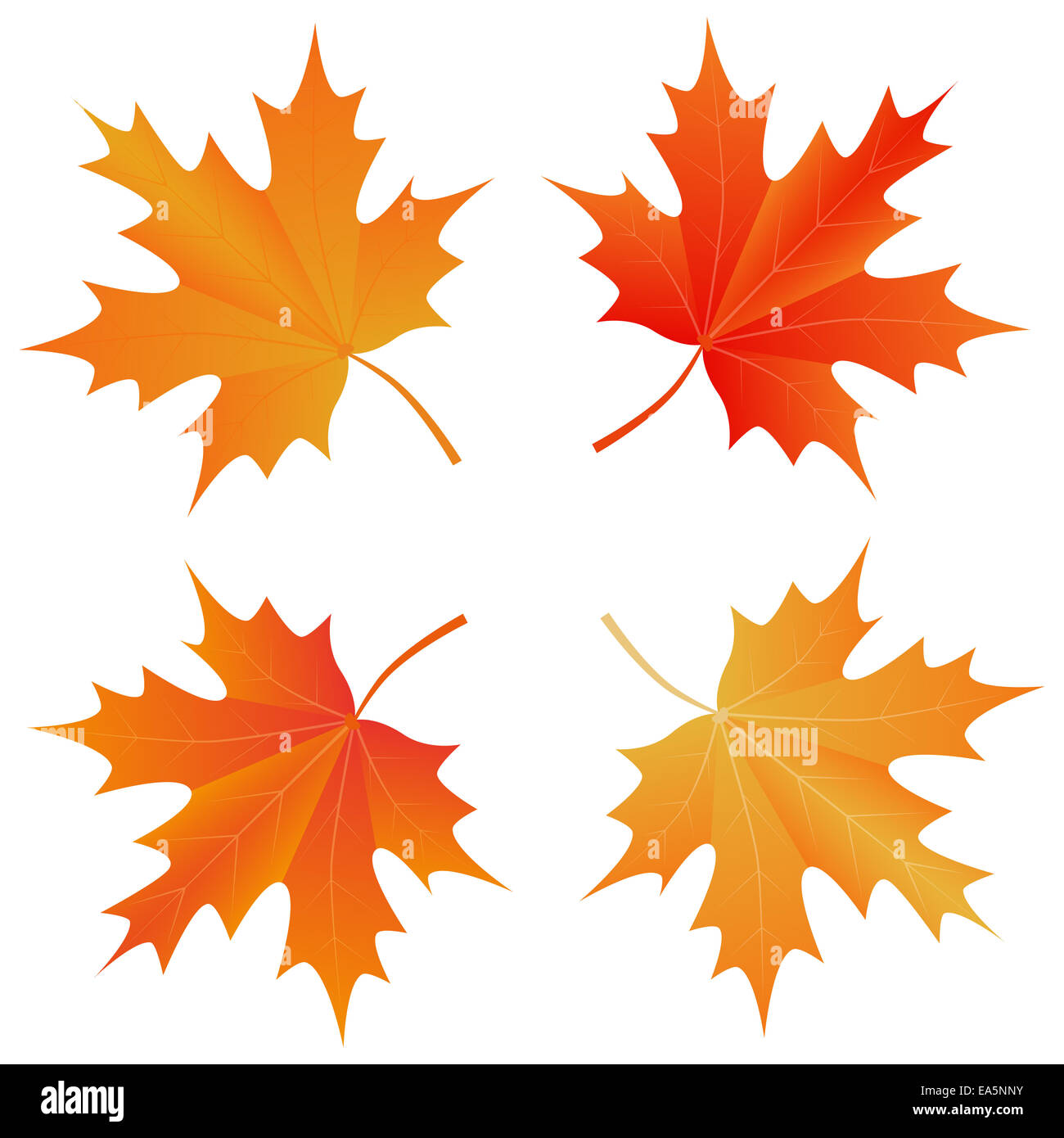 set of autumn maple leaf Stock Photo - Alamy