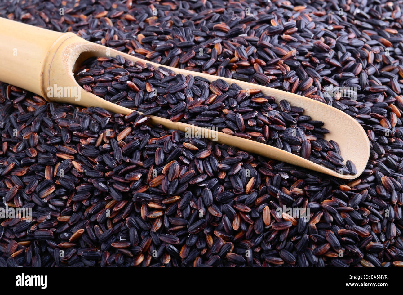 Chinese wild rice hi-res stock photography and images - Alamy