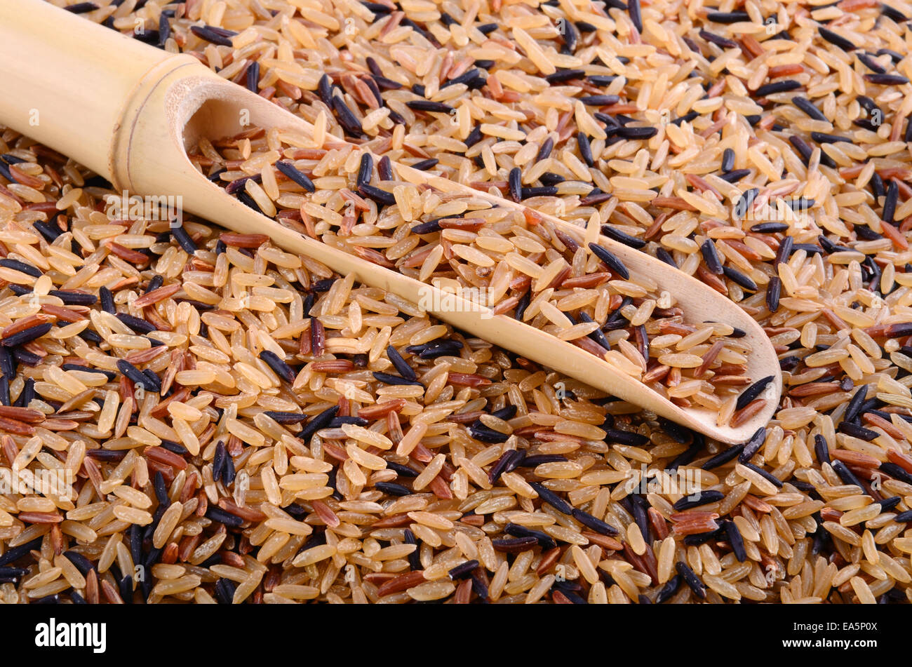 Different varieties of rice hi-res stock photography and images - Alamy