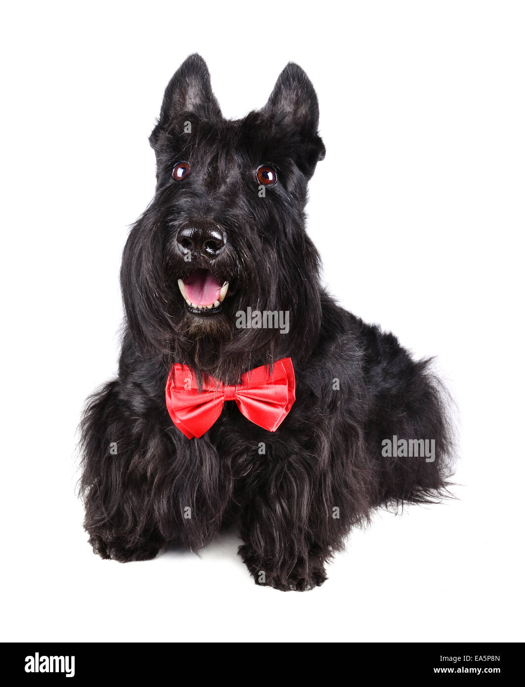 Wearing red black costume Cut Out Stock Images & Pictures - Alamy