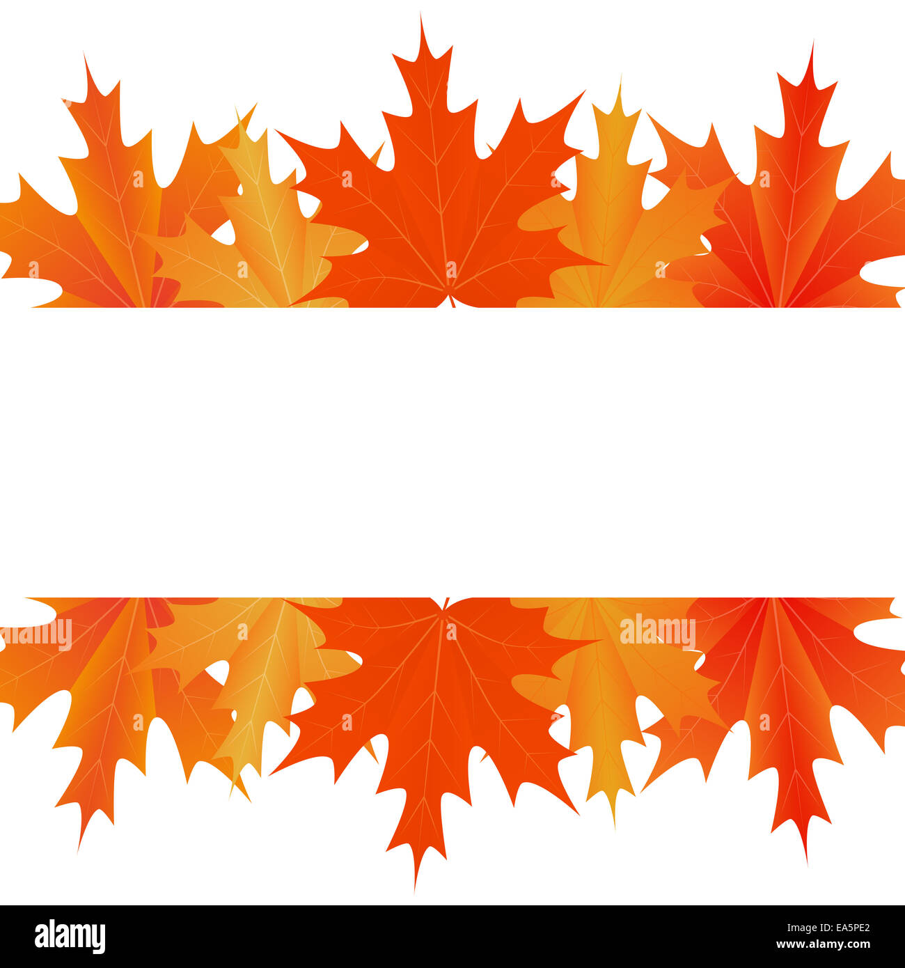 Maple leaves background Stock Photo - Alamy