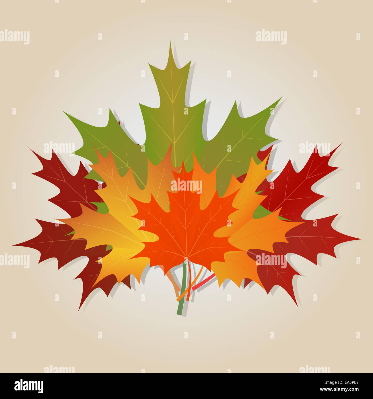 bouquet of autumn Stock Photo - Alamy