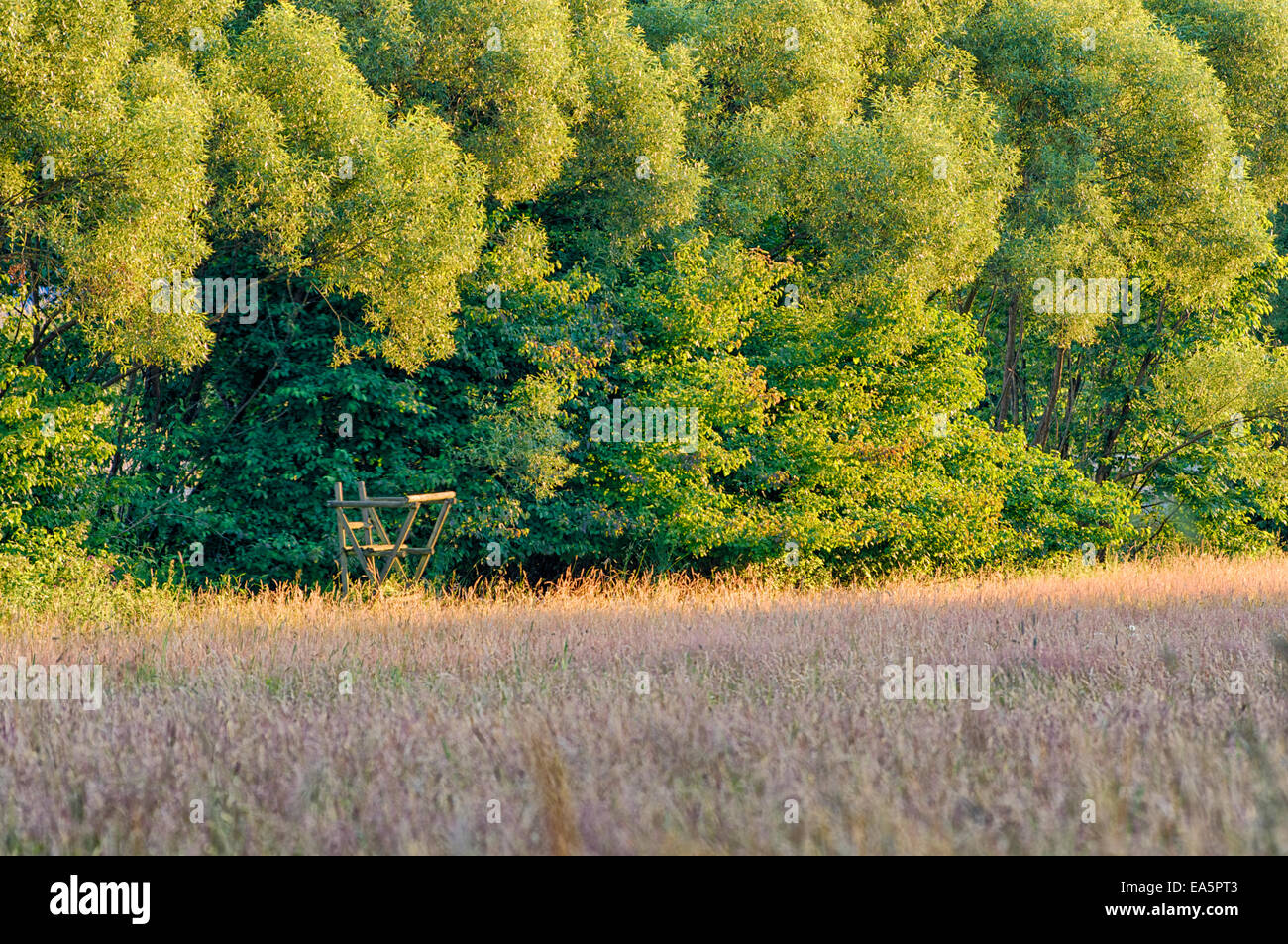 Wiesen sommer hi-res stock photography and images - Alamy