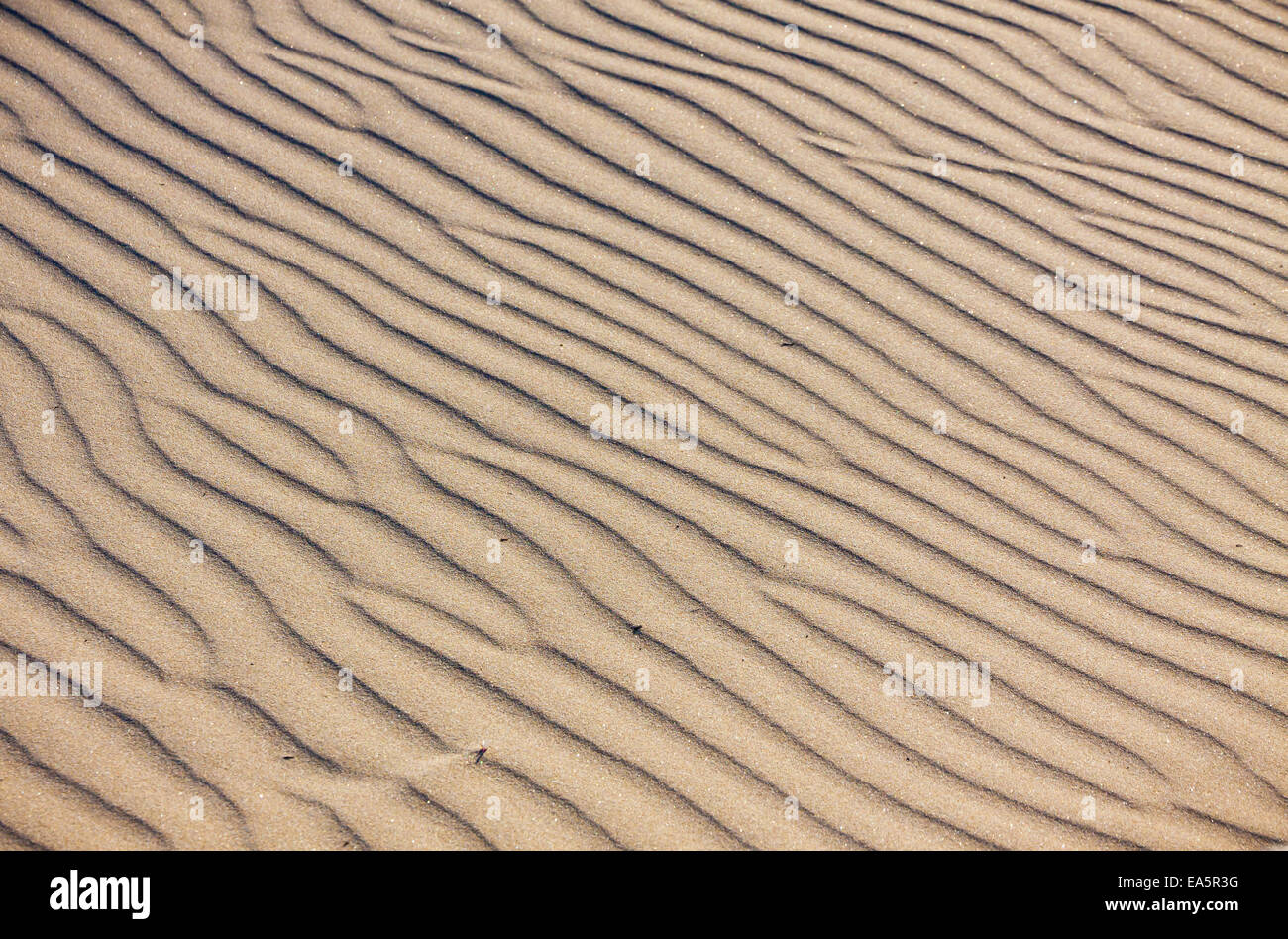 Background from small sand dunes on the beach Stock Photo - Alamy
