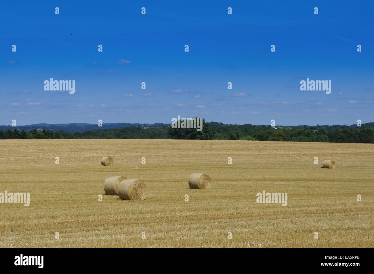 Gelber ballen hi-res stock photography and images - Alamy