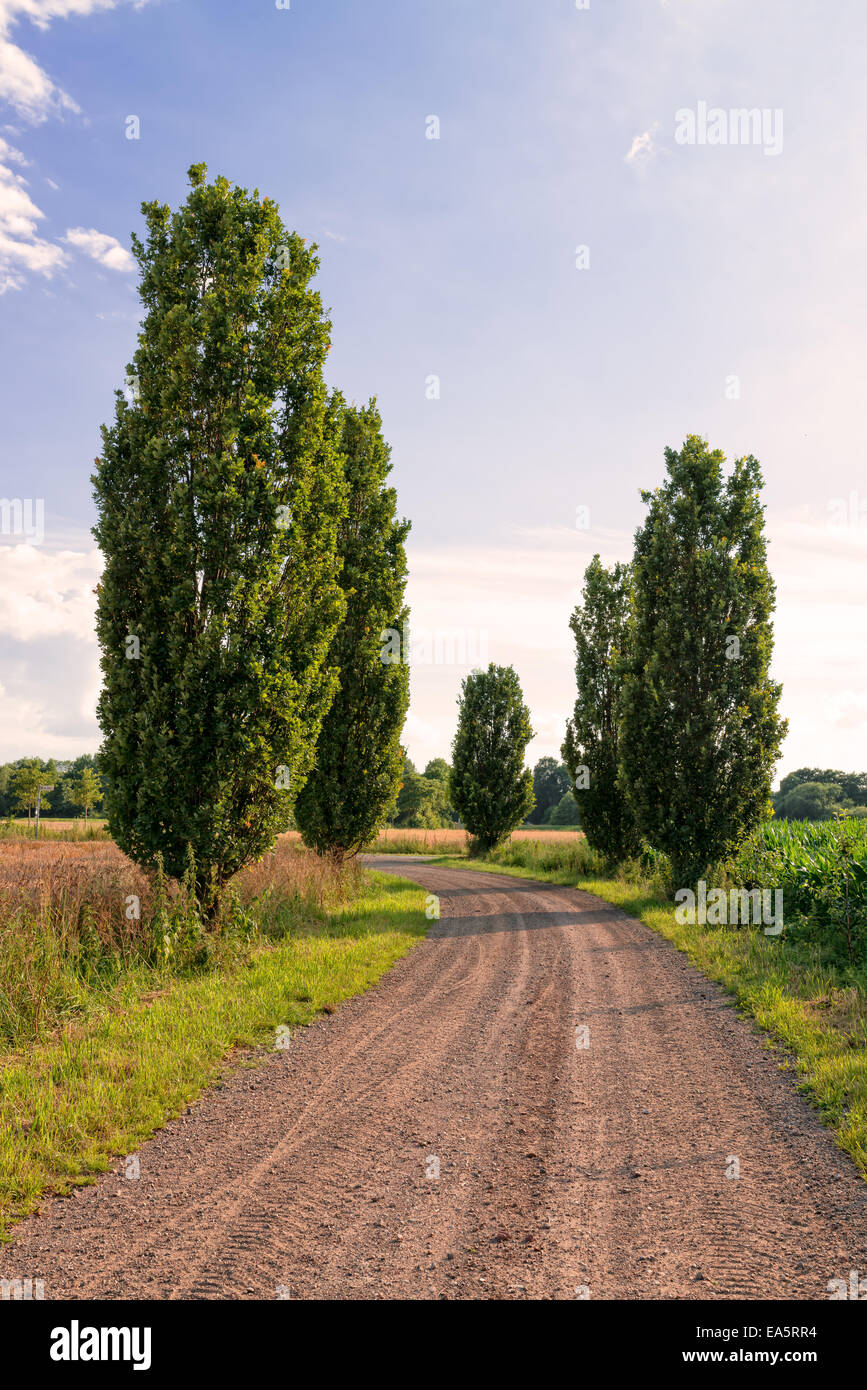 walking ways in Germany Stock Photo - Alamy