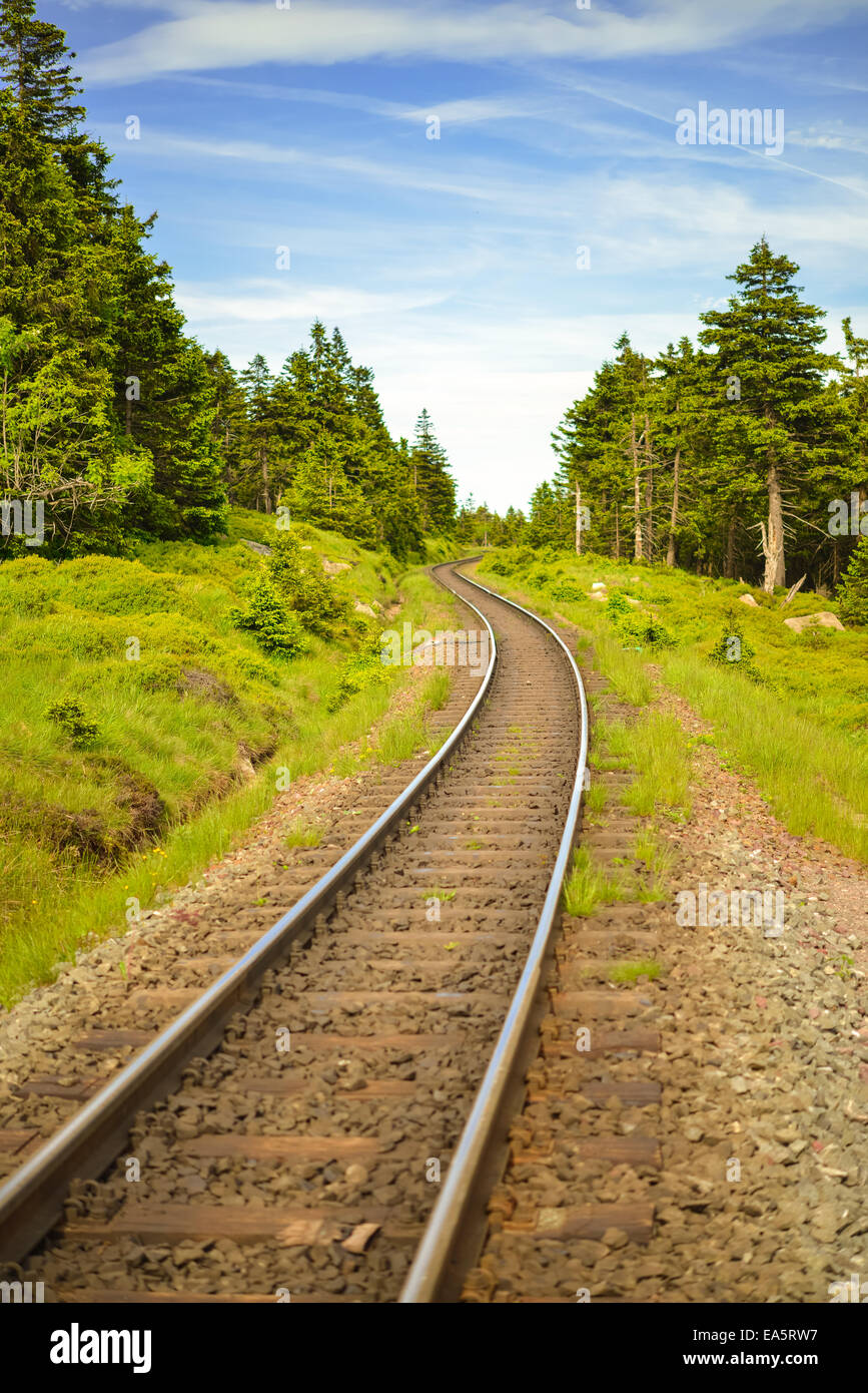 Railway line wildflowers hi-res stock photography and images - Alamy