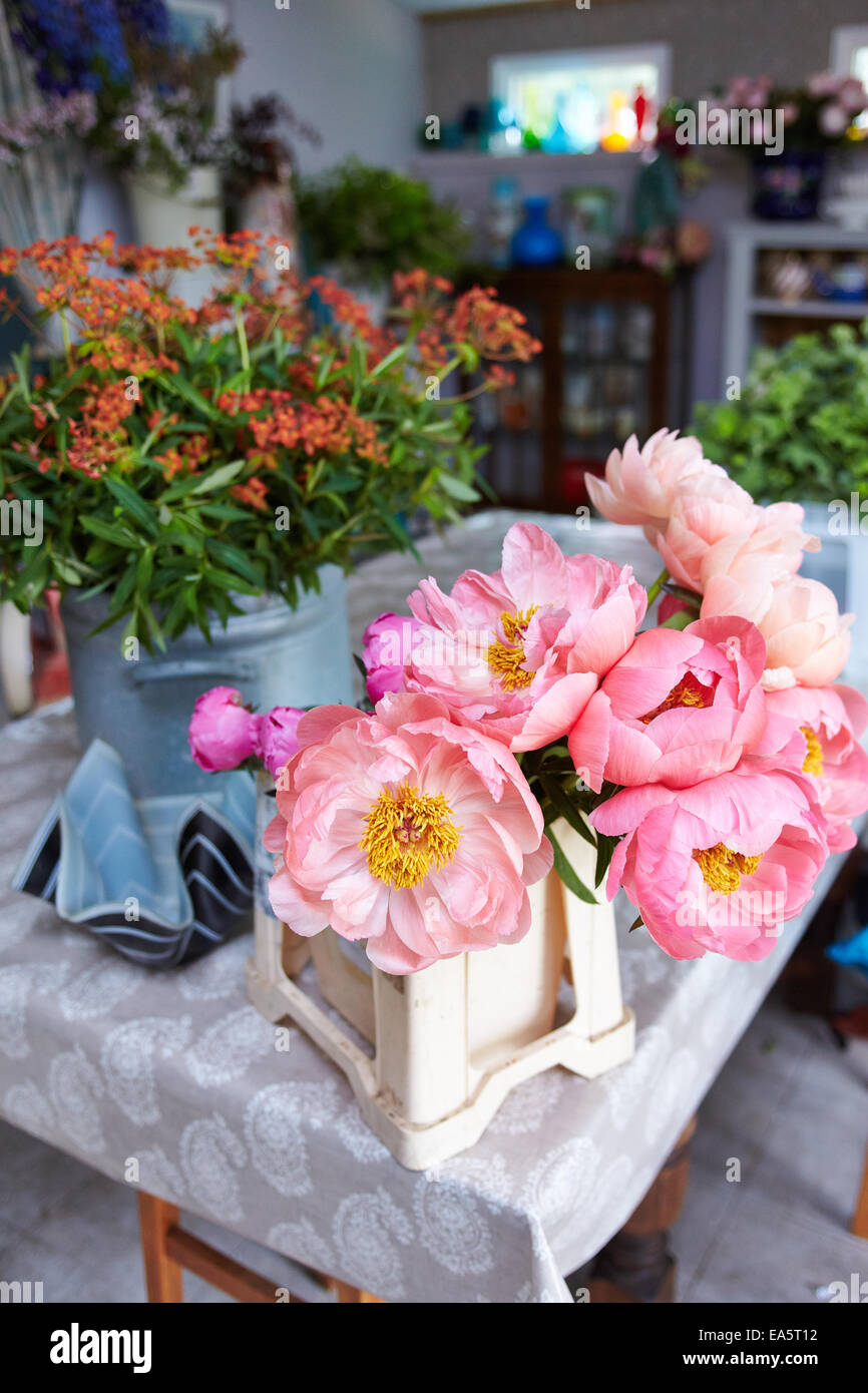 Peonies container hi-res stock photography and images - Alamy