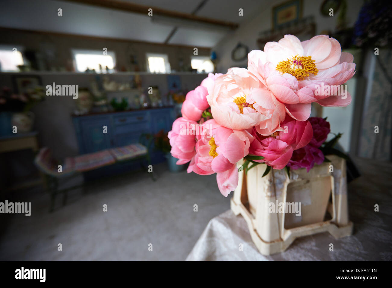 Peonies in a plastic container in a florists Stock Photo - Alamy