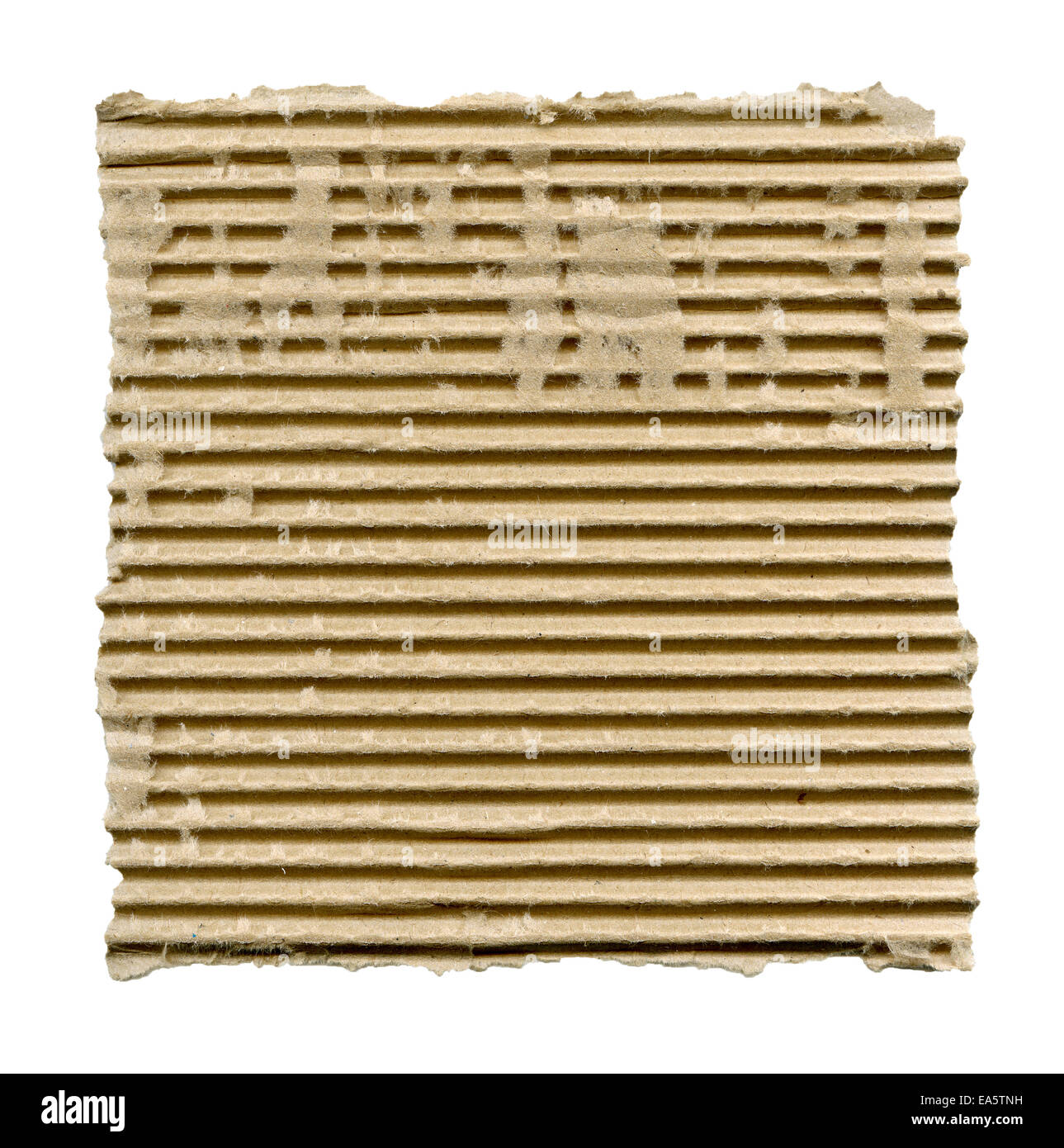 Torn cardboard isolated Stock Photo - Alamy