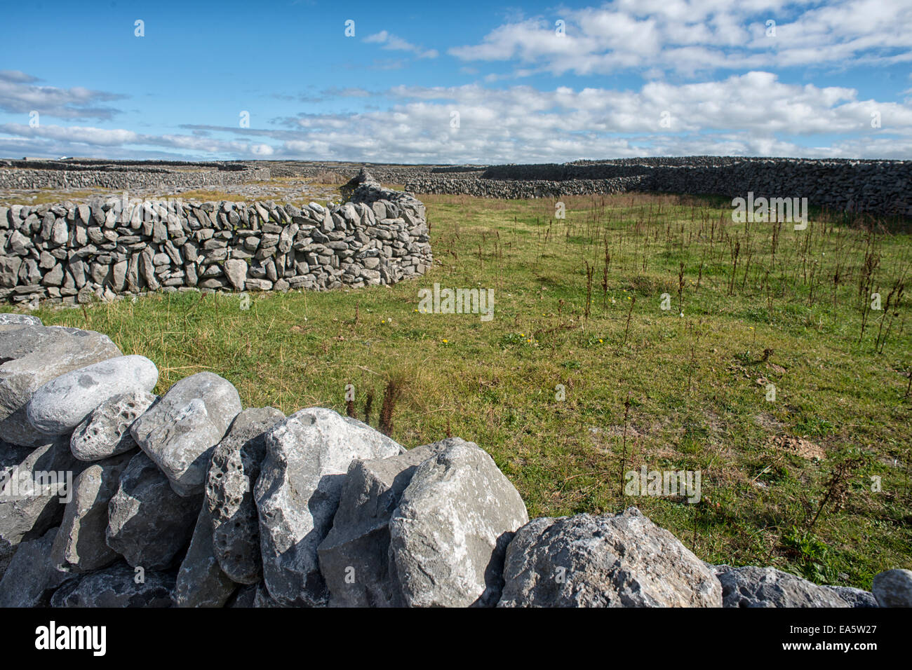 dry stone walled fields Stock Photo - Alamy