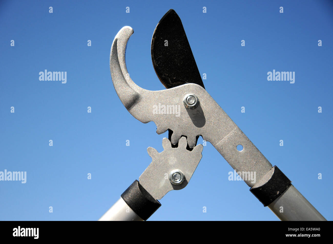 Shear hi-res stock photography and images - Alamy