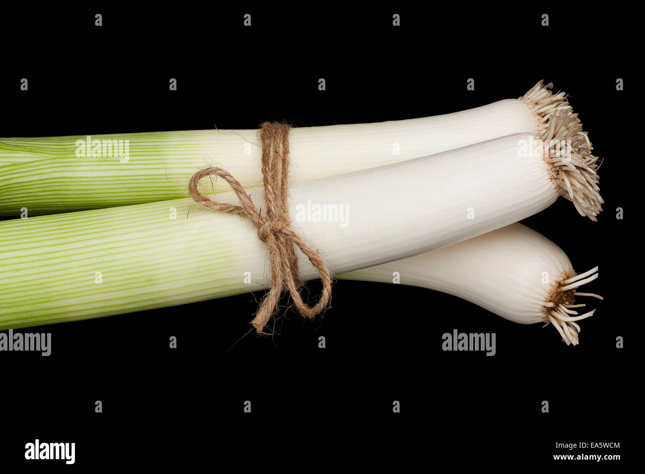 A bunch of leeks bound with linen cord and photographed on a black ...