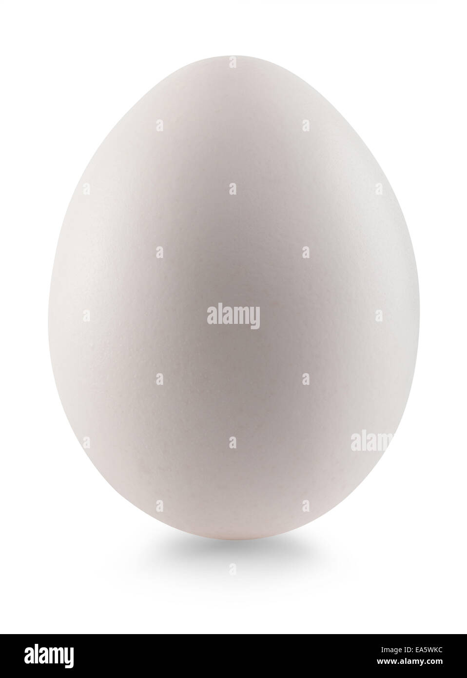 White egg Cut Out Stock Images & Pictures - Alamy
