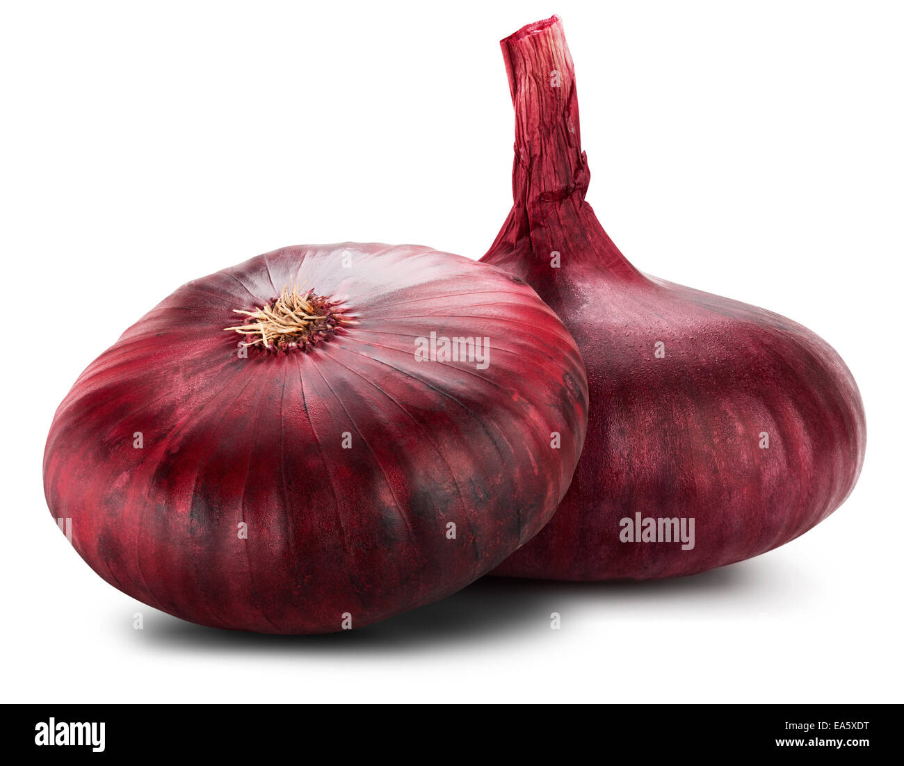 Onion detail Cut Out Stock Images & Pictures - Alamy