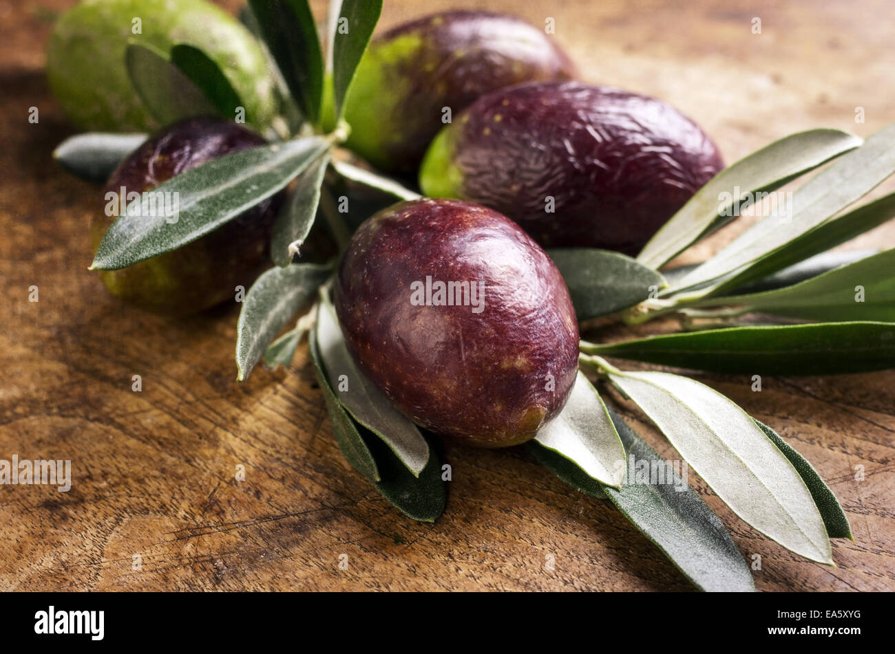Oli stone hi-res stock photography and images - Alamy