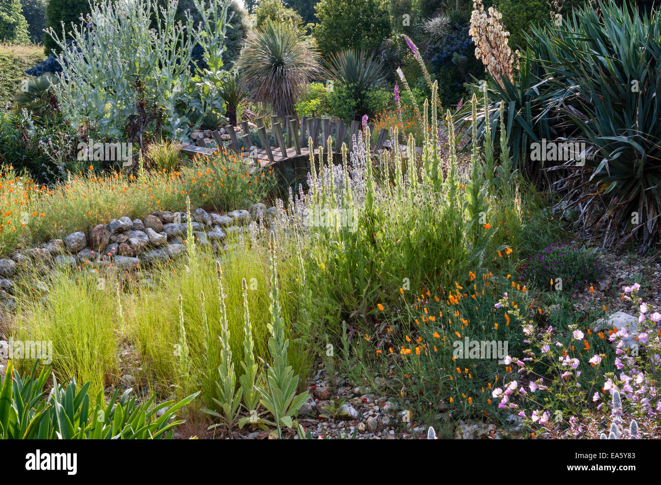 East Ruston Old Vicarage gardens, Norwich, Norfolk, UK. The Californian ...