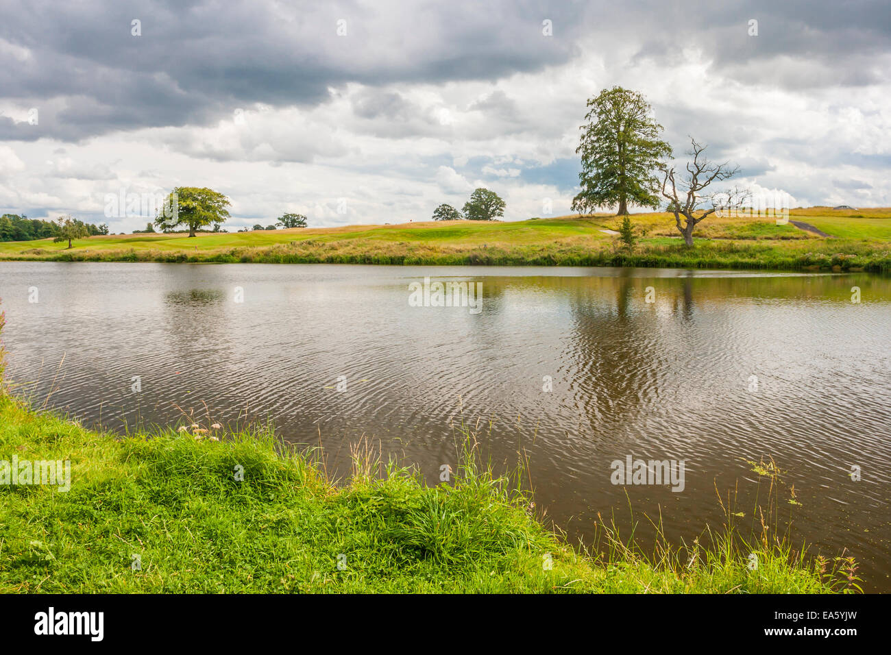 Beautiful river landscape with reflection in a cloudy day Stock Photo ...